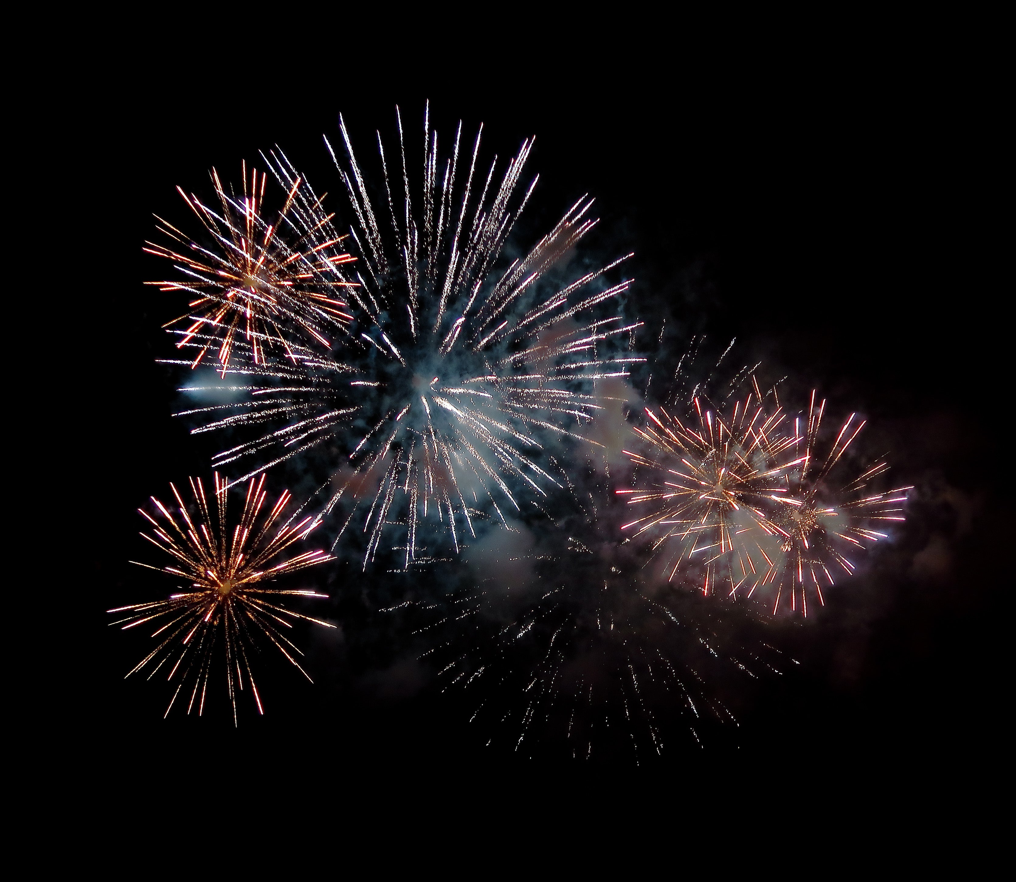 ADAPTIL - Expertos en Bienestar Canino | Thundershirt & ADAPTIL